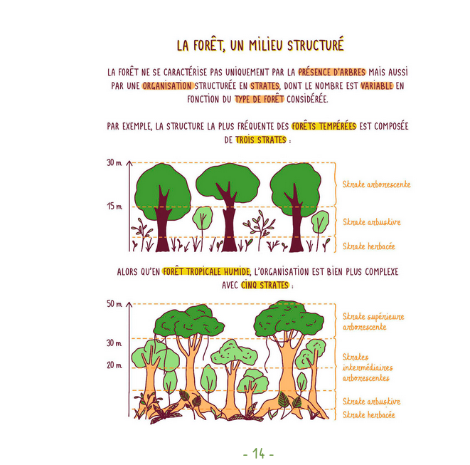 Comprendre et protéger la forêt - La Cliothèque